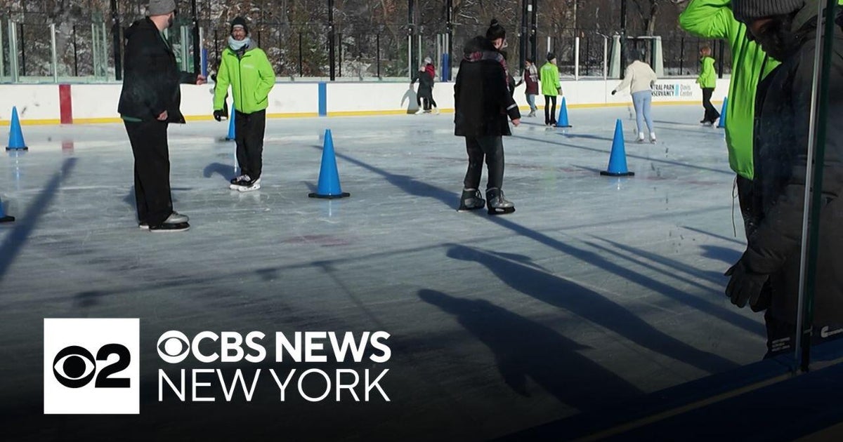 Central Park Conservancy's Gottesman Rink at the Davis Center now open ...
