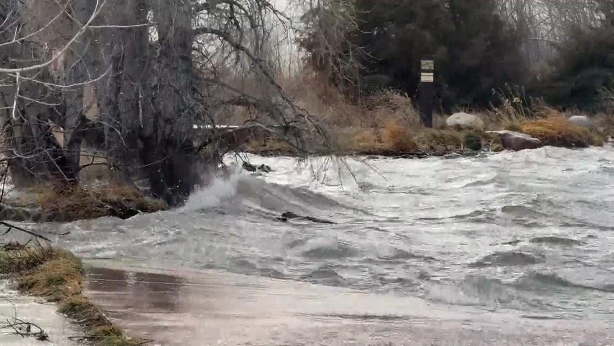Hurricane-force winds return to the Boulder area in Colorado, uprooting ...