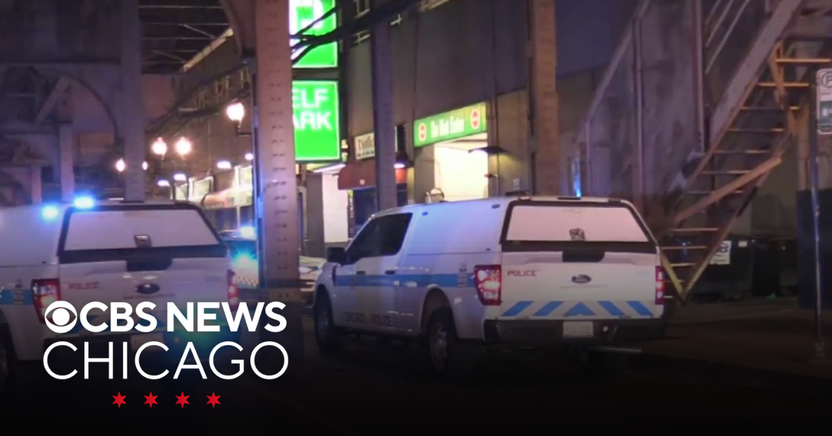Police investigating shooting on CTA Pink Line train in downtown ...