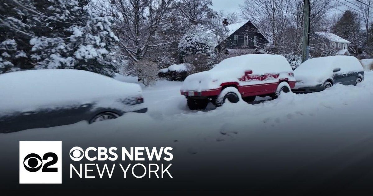 Winter storm travel disruptions continue in NYC area after snow | Team ...