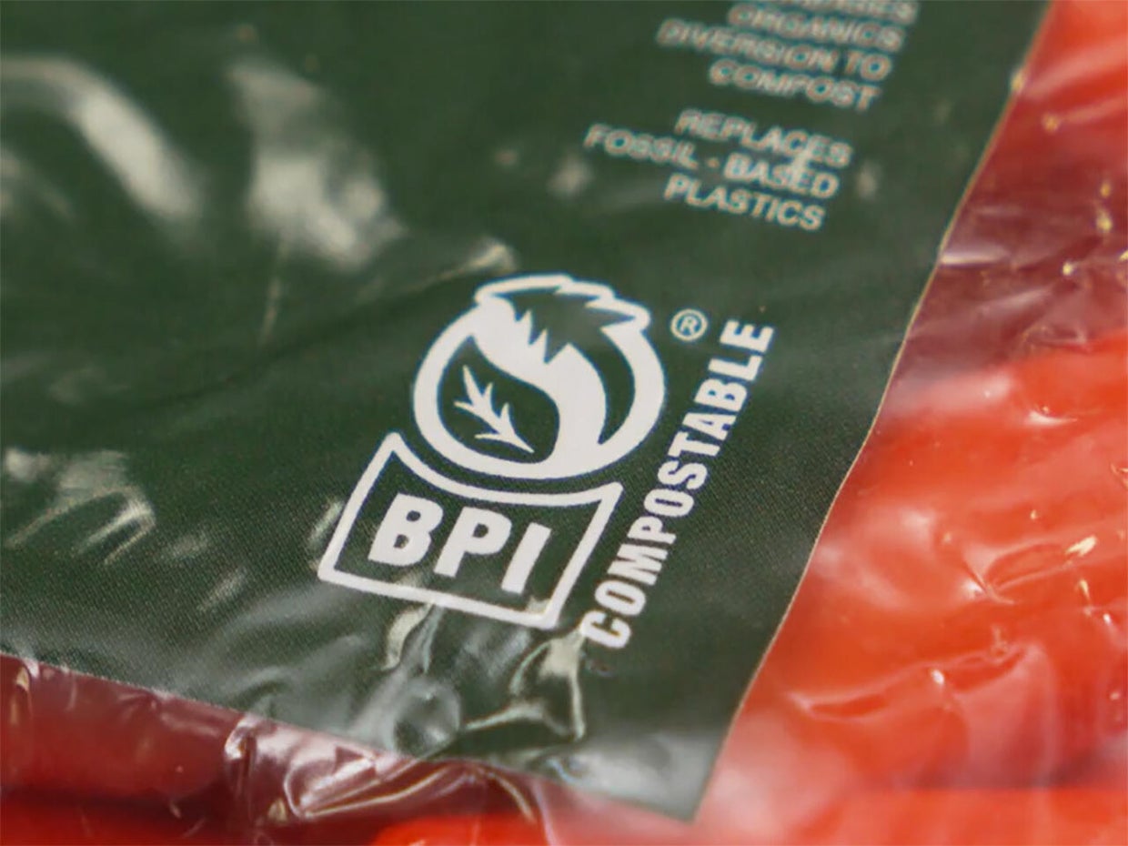 Good news you may have missed in 2025 - CBS News