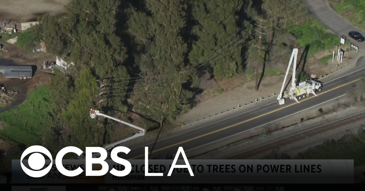 Strong winds topple trees, force closure of SR-118 in Moorpark - CBS ...