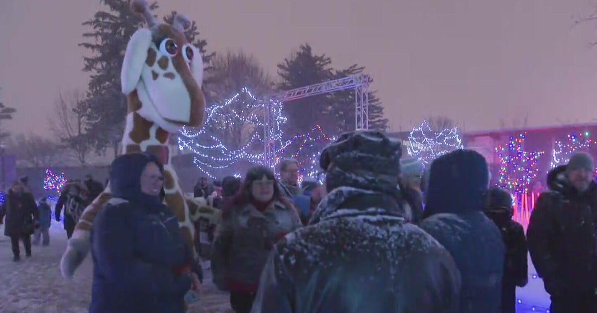Families ring in the new year at Detroit Zoo's “Zoo Years” celebration ...