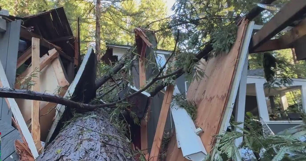 North Bay family worried about more storm damage after tree fell onto ...