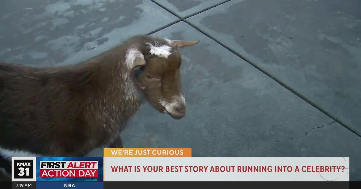 We're Just Curious 1/3 - Good Day Sacramento