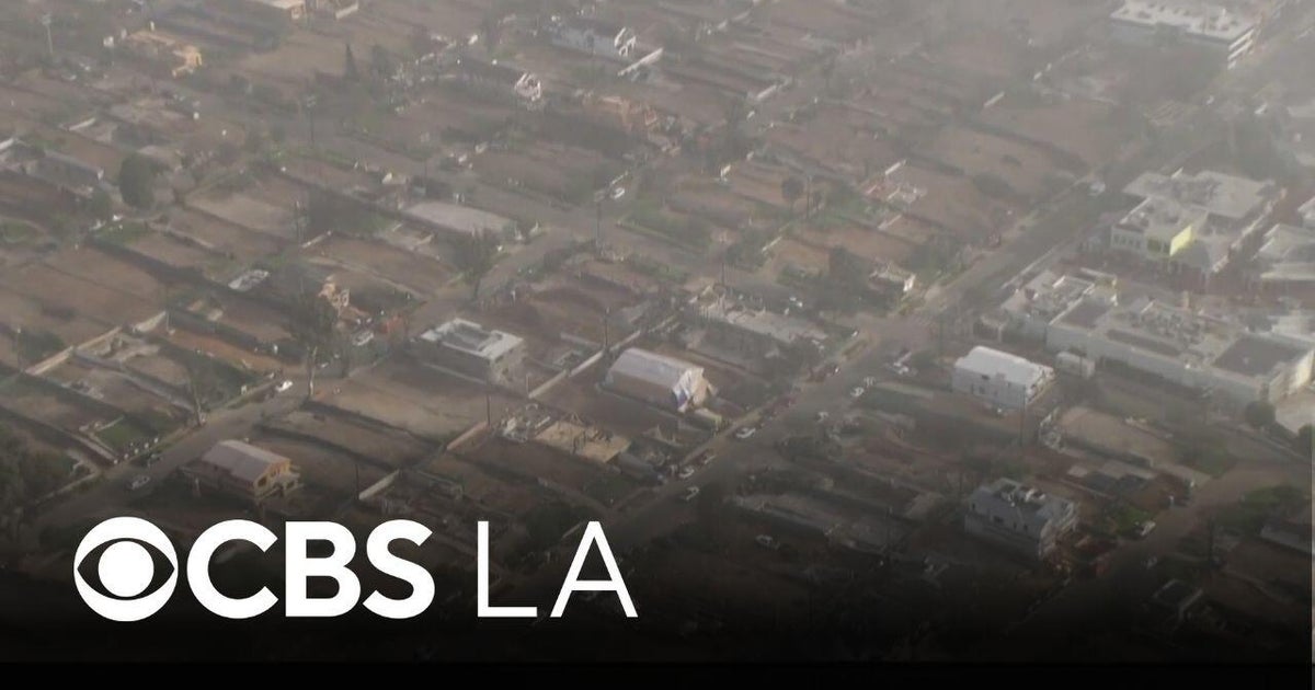 An aerial view of the Palisades Fire burn scar and a look at the ...