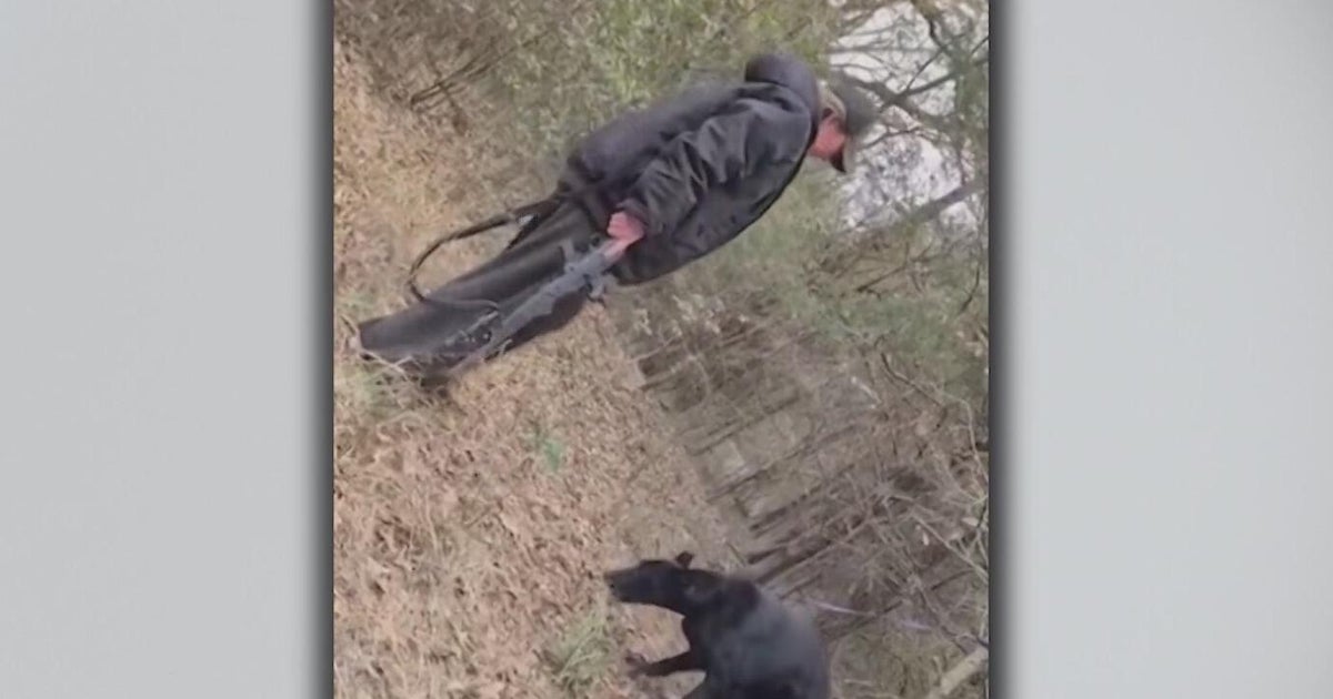 Video of dog being shot sparks cruelty investigation at Texas ranch ...