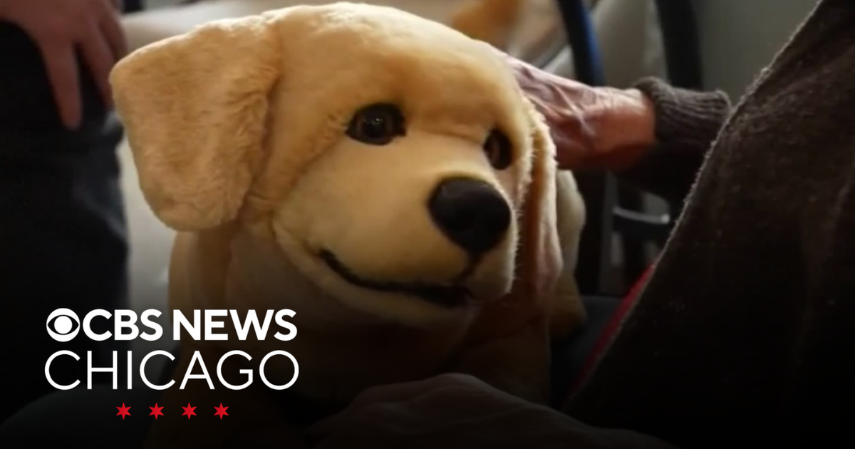 Robotic dog on display at CES - CBS Chicago