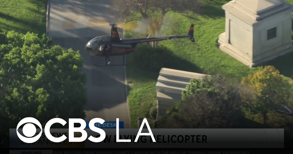 Helicopter flying over Hollywood Forever Cemetery draws concern from ...