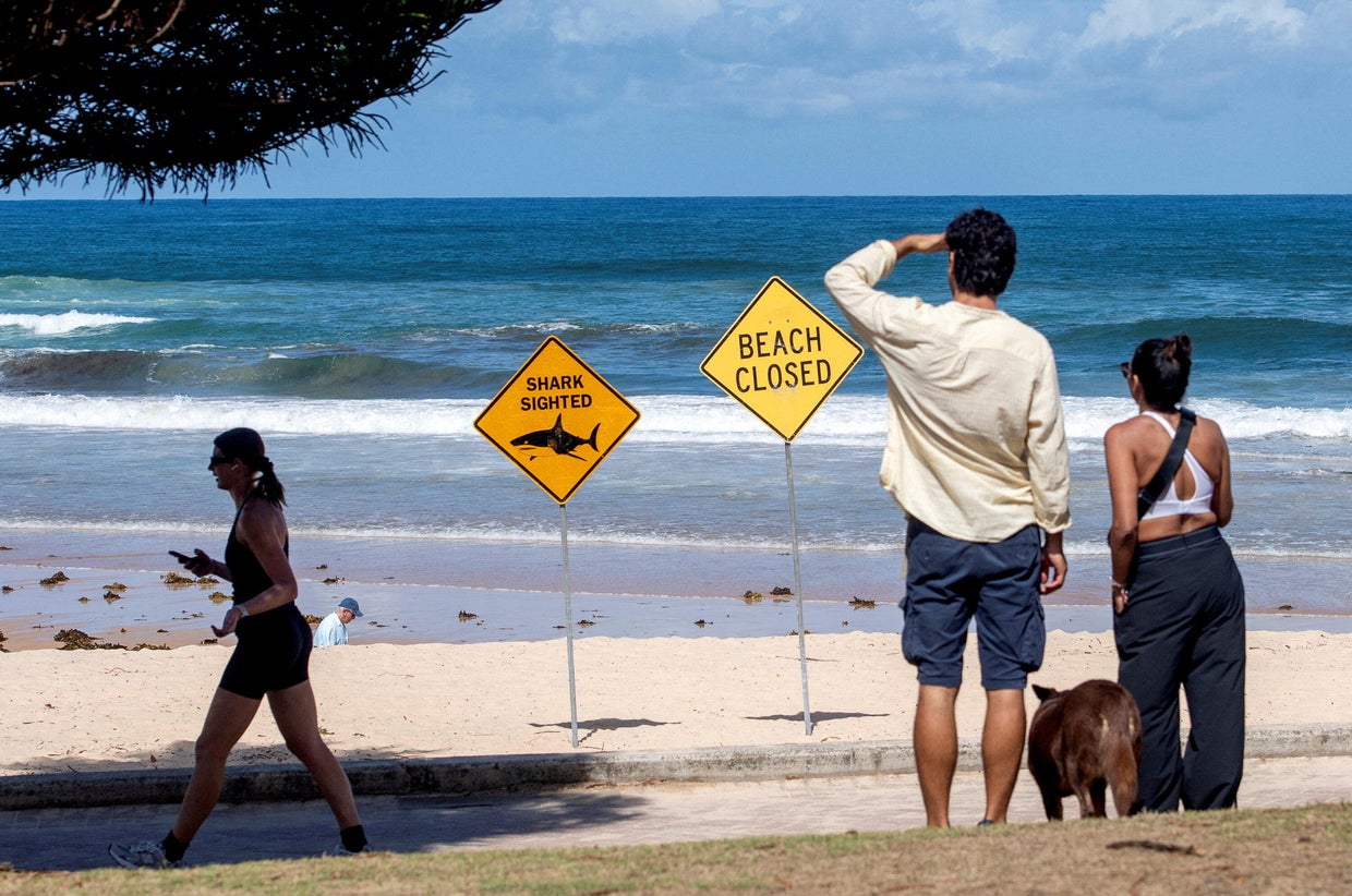 After 4 shark attacks in Australia in 3 days, beachgoers urged to "just ...
