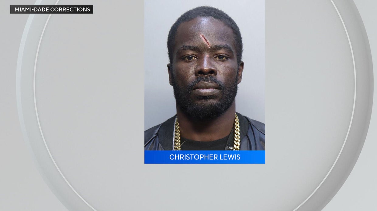 Miami-Dade man accused of killing puppy facing felony charge, officials ...