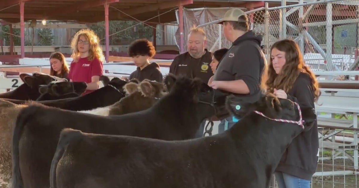 Santa Clara County Fair schedule affecting Future Farmers of America ...