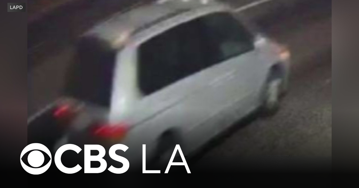 LAPD detectives looking for hit-and-run driver who fatally struck 66 ...