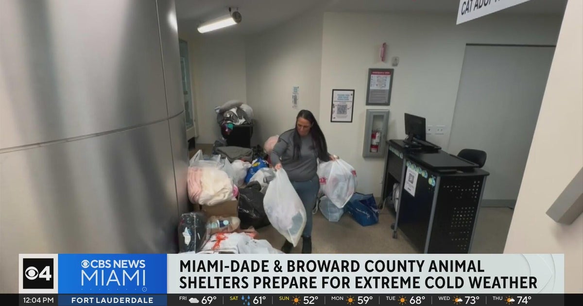 South Florida animal shelters preparing for extreme cold - CBS Miami