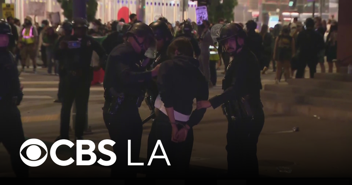 LAPD arrests protesters after peaceful demonstrations devolve outside ...