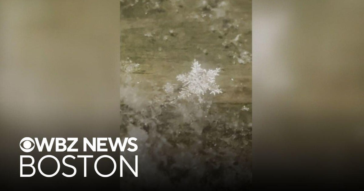 Stunning dendrite snowflakes seen on video in Maine - CBS Boston