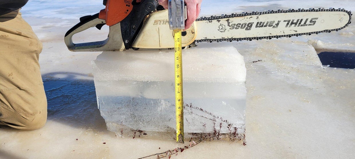 Ice still covers Delaware River, Bay and even New Jersey's cranberry ...