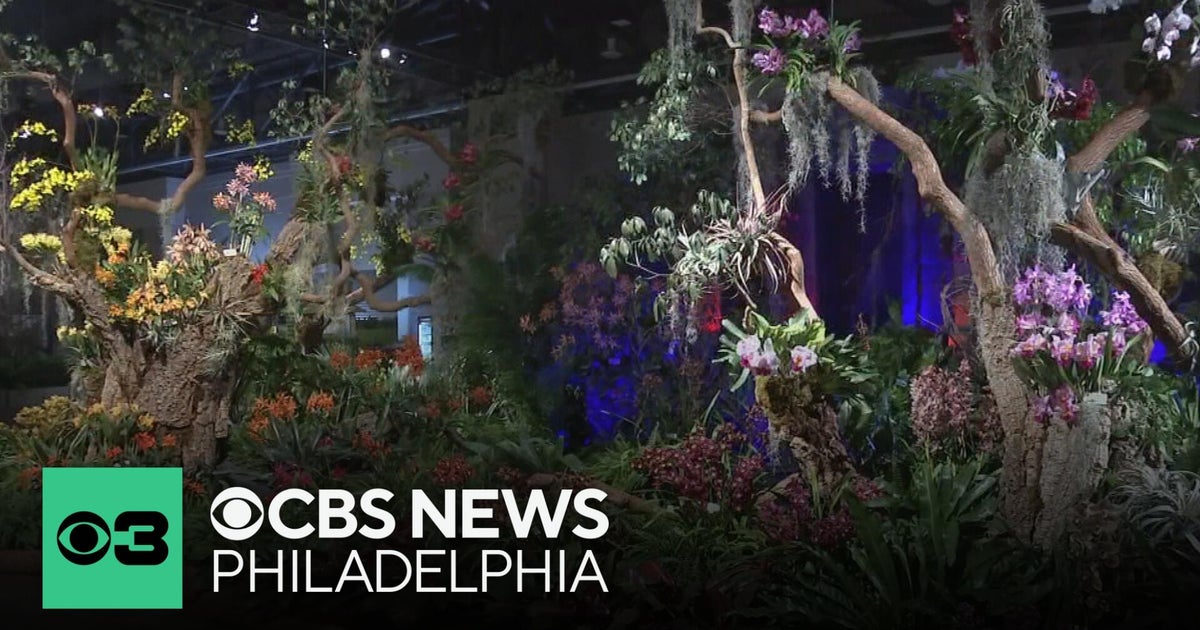 2026 Philadelphia Flower Show returns for its 197th year on Saturday ...
