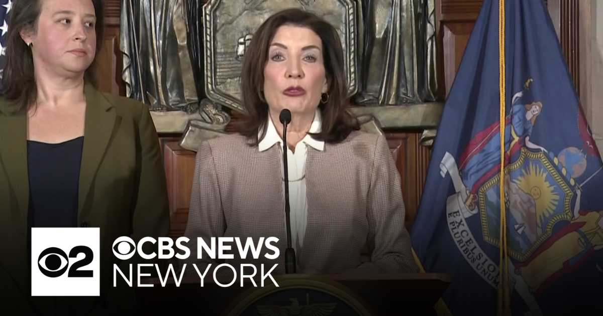 New York Gov. Kathy Hochul voices immigration concerns to border czar ...
