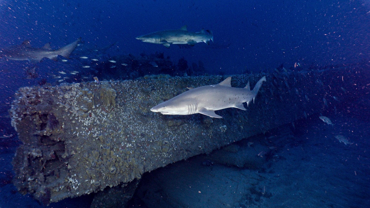New 3D images show wreck of USS Monitor, iconic Civil War ship that ...