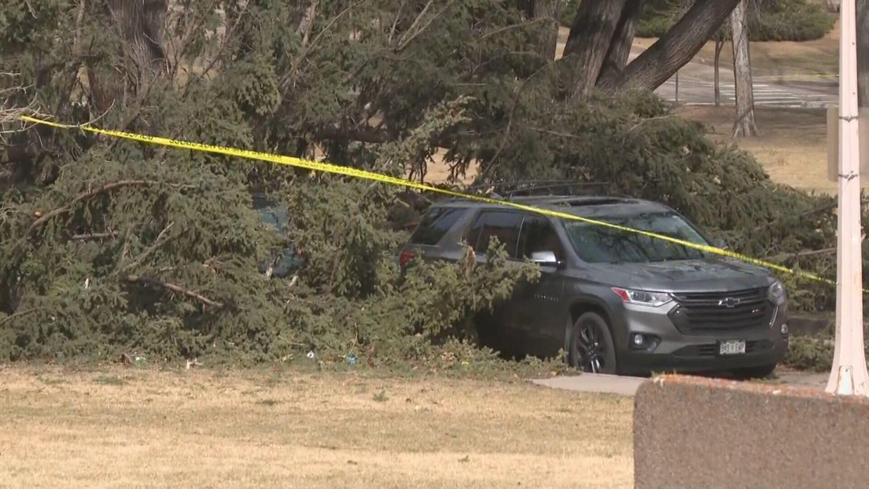 Colorado State University closed Friday amid high winds, downed trees ...