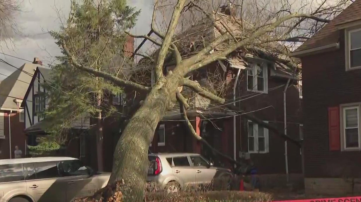 Photos show wind damage after Pittsburgh area hit by powerful gusts ...