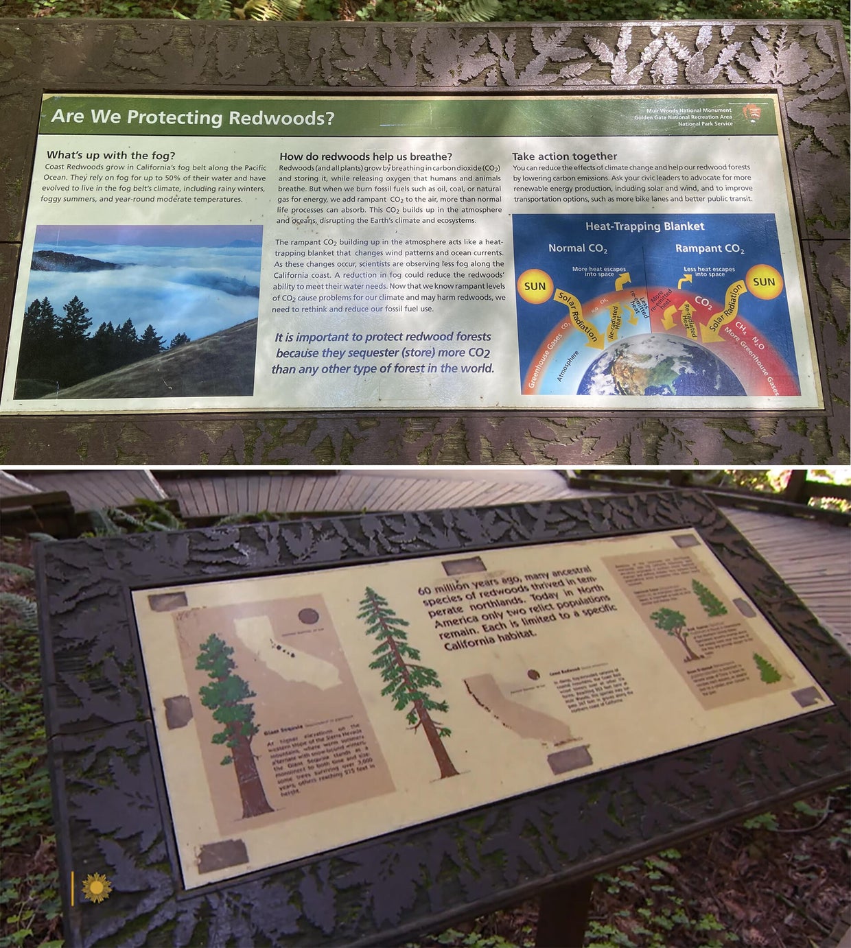 Signs of the times: Removing stories of America's past from our ...