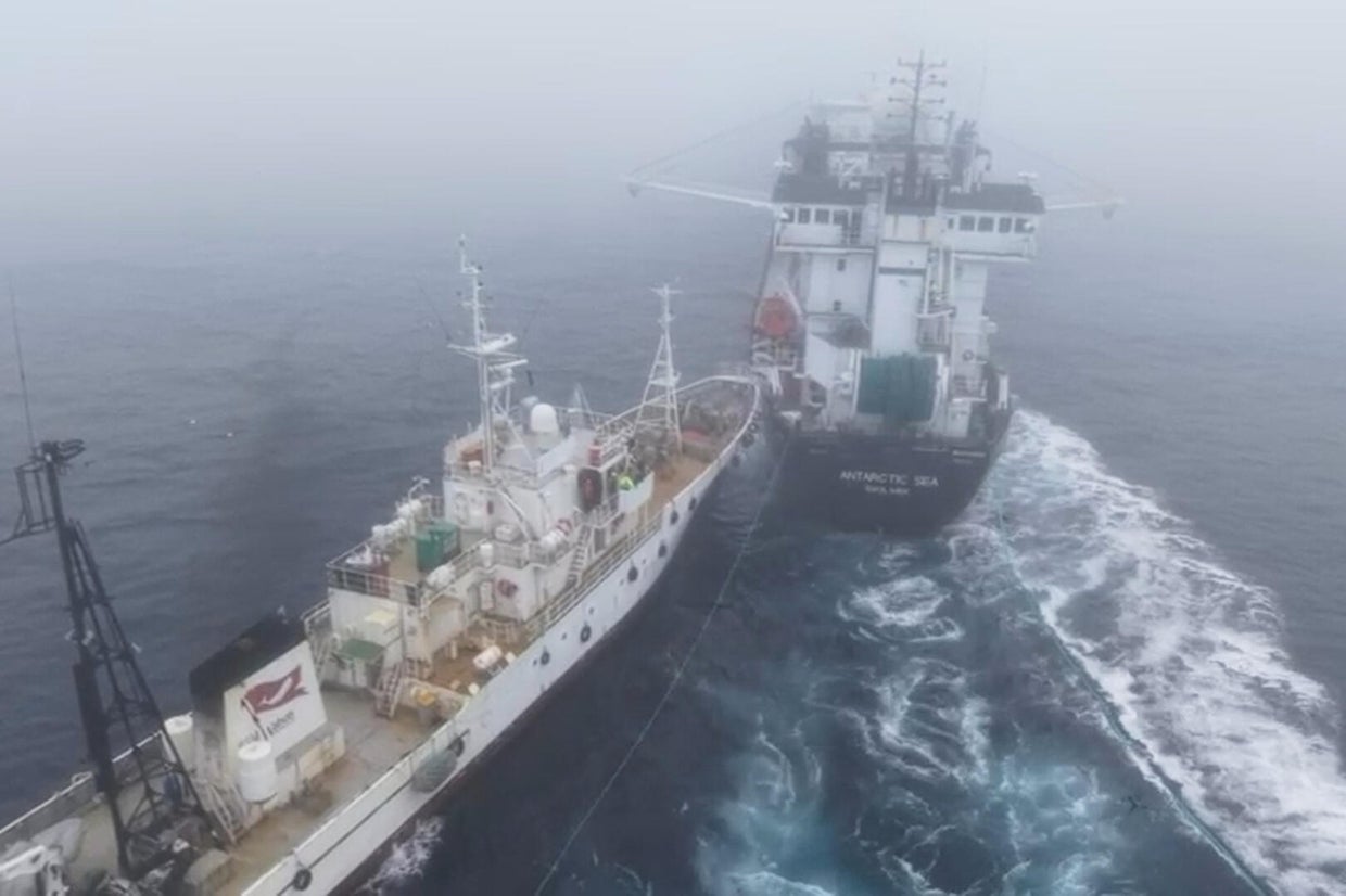 Activist ship's collision with krill trawler off Antarctica called ...