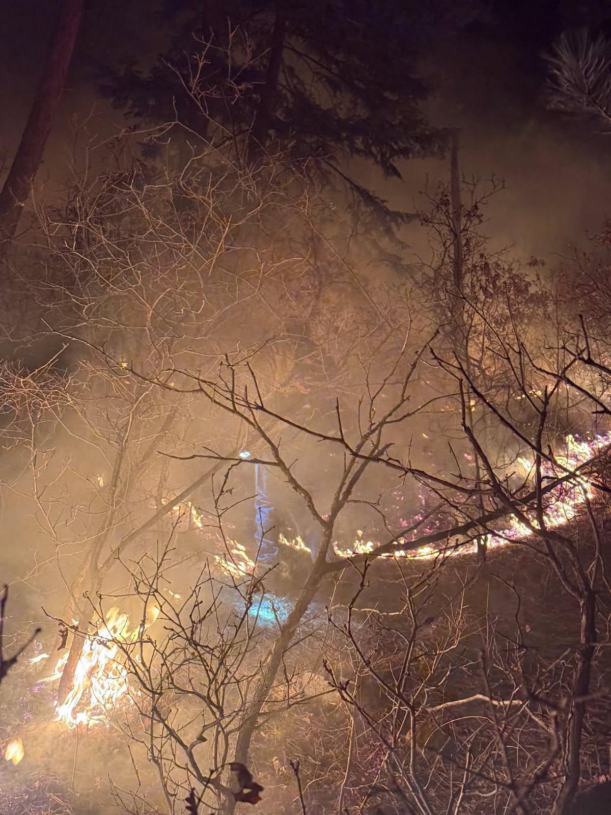 Colorado firefighters nearly contain Bear Creek Fire burning on U.S ...
