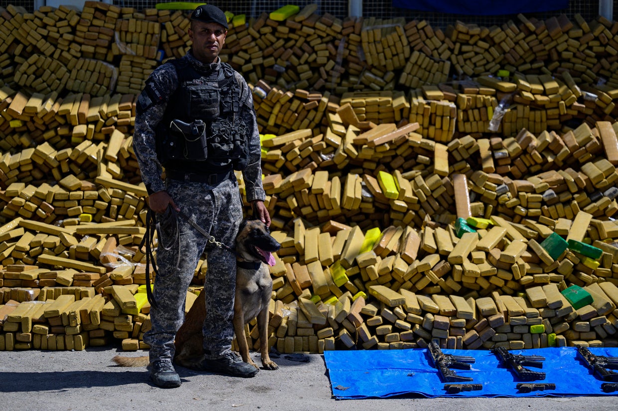 Police dog named Hulk sniffs out 48 tons of marijuana in record bust in ...