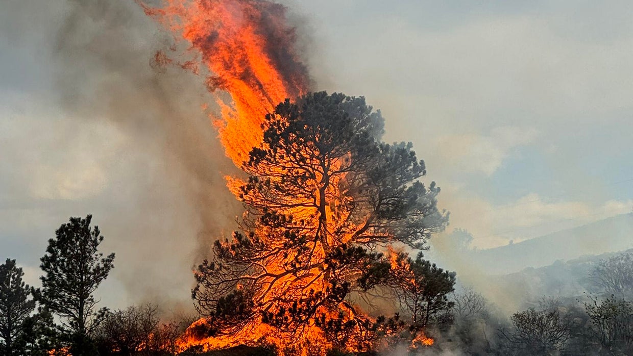 Colorado Congressman Joe Neguse helps pass Cross-Boundary Wildfire ...