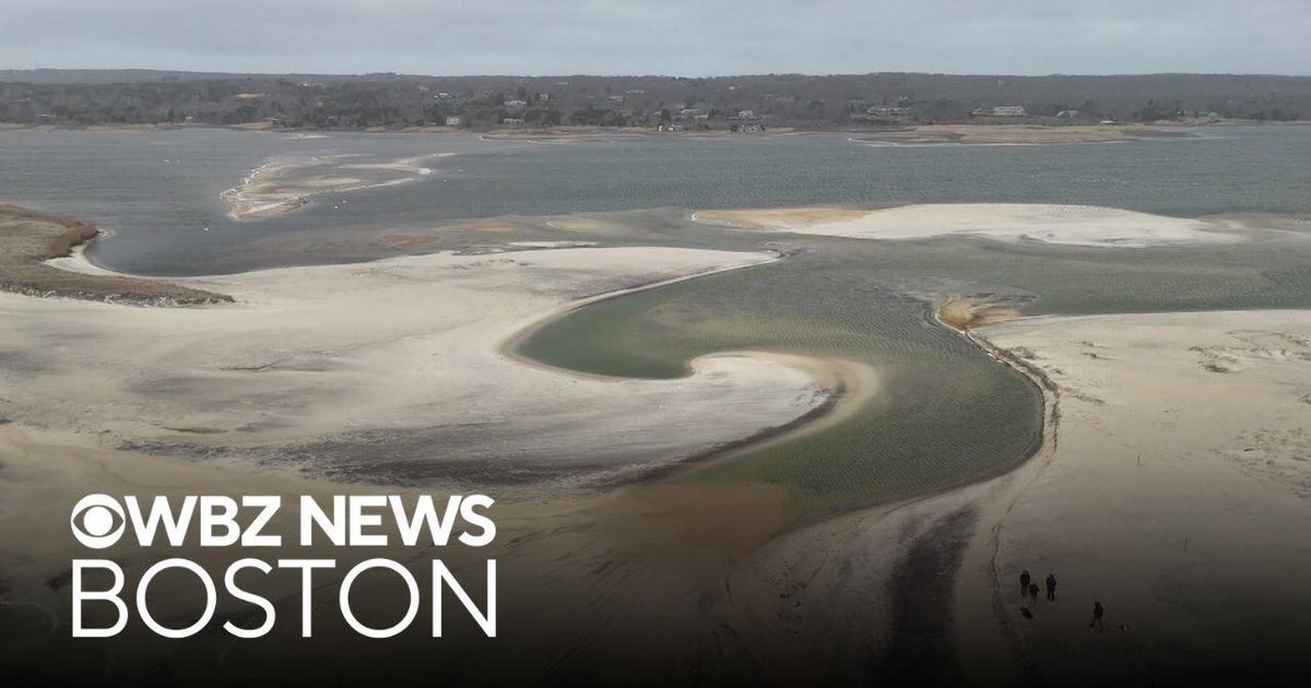 Martha's Vineyard community fights to save popular pond from toxic ...