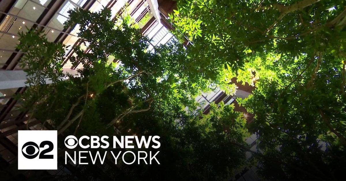 Ford Foundation's Atrium Garden offers secret oasis in Midtown ...