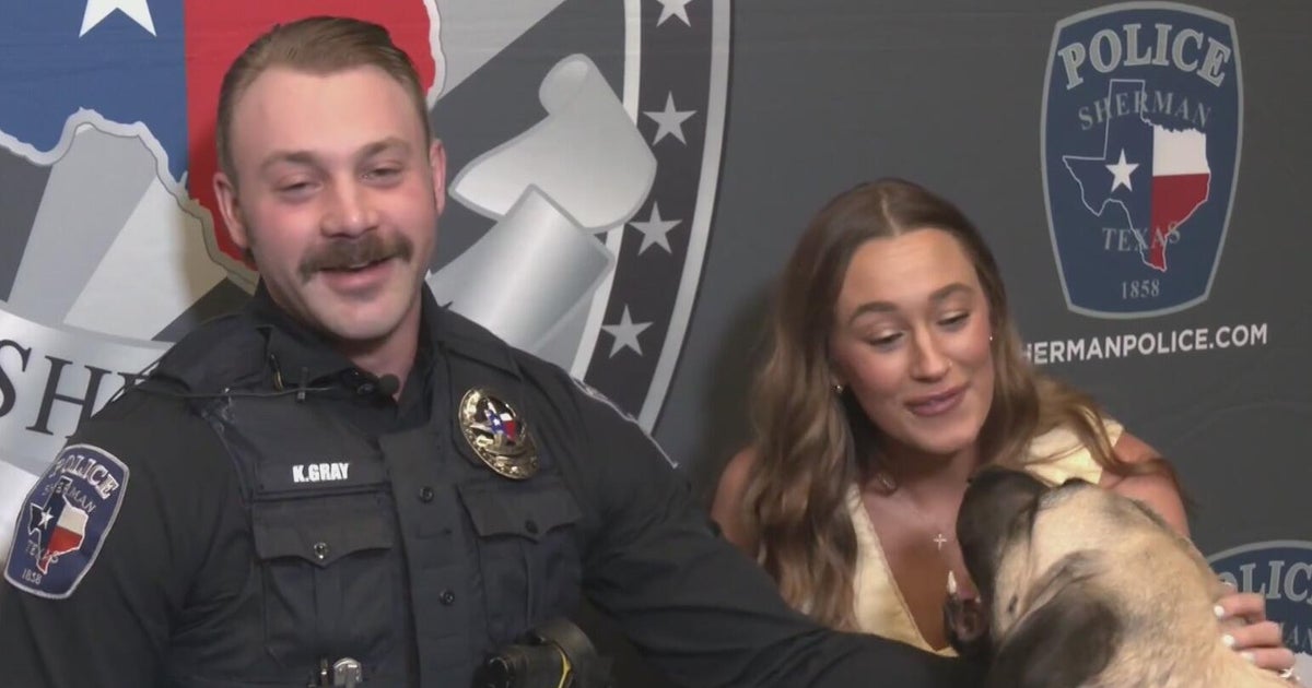 Sherman officer adopts abused dog that lost an eye after pellet‑gun ...
