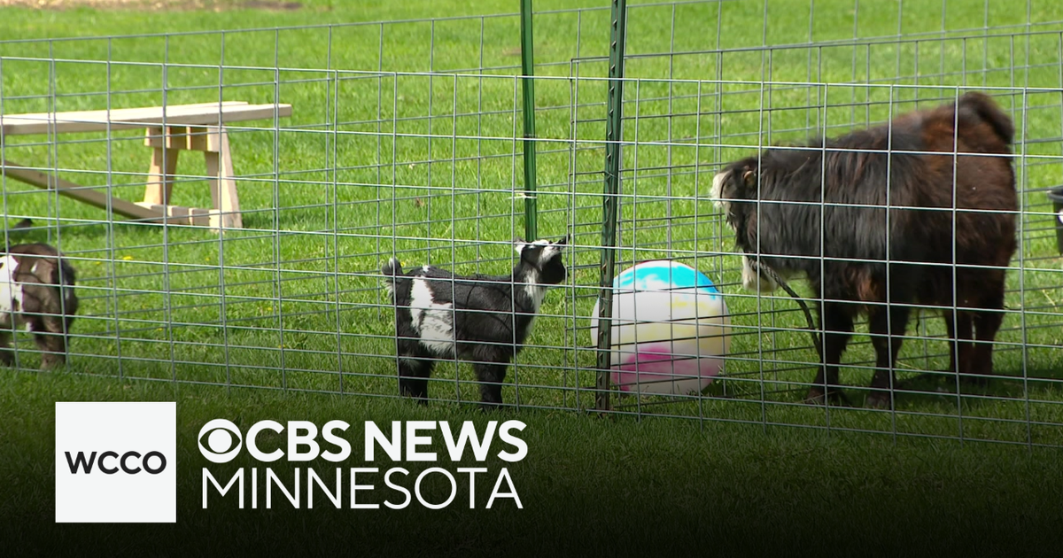 Take a journey from pioneer life to present day at Farmamerica - CBS ...