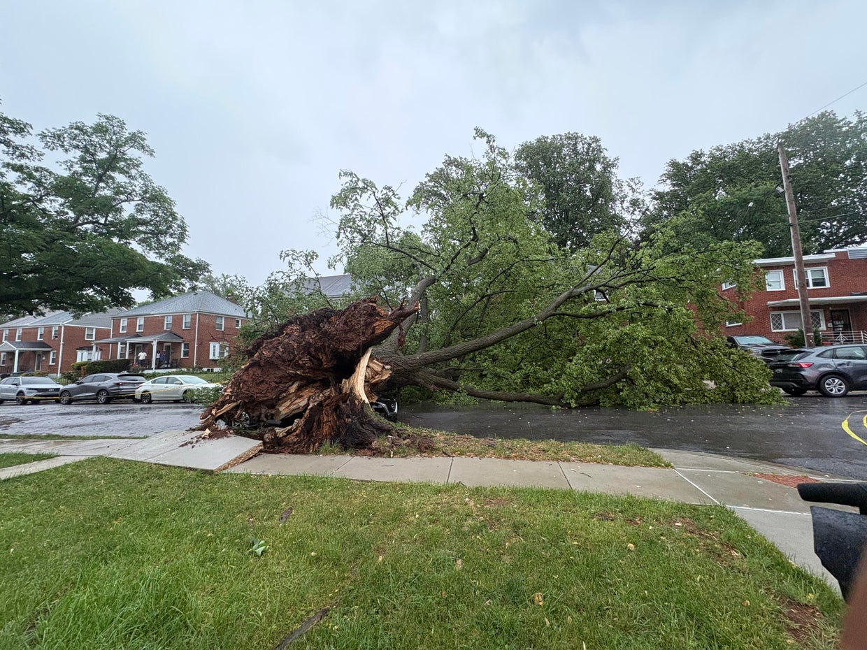 Severe storms in Maryland cause damage, uproot trees in some ...