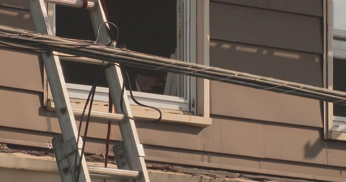 Safety tips for when working near power lines - CBS Pittsburgh
