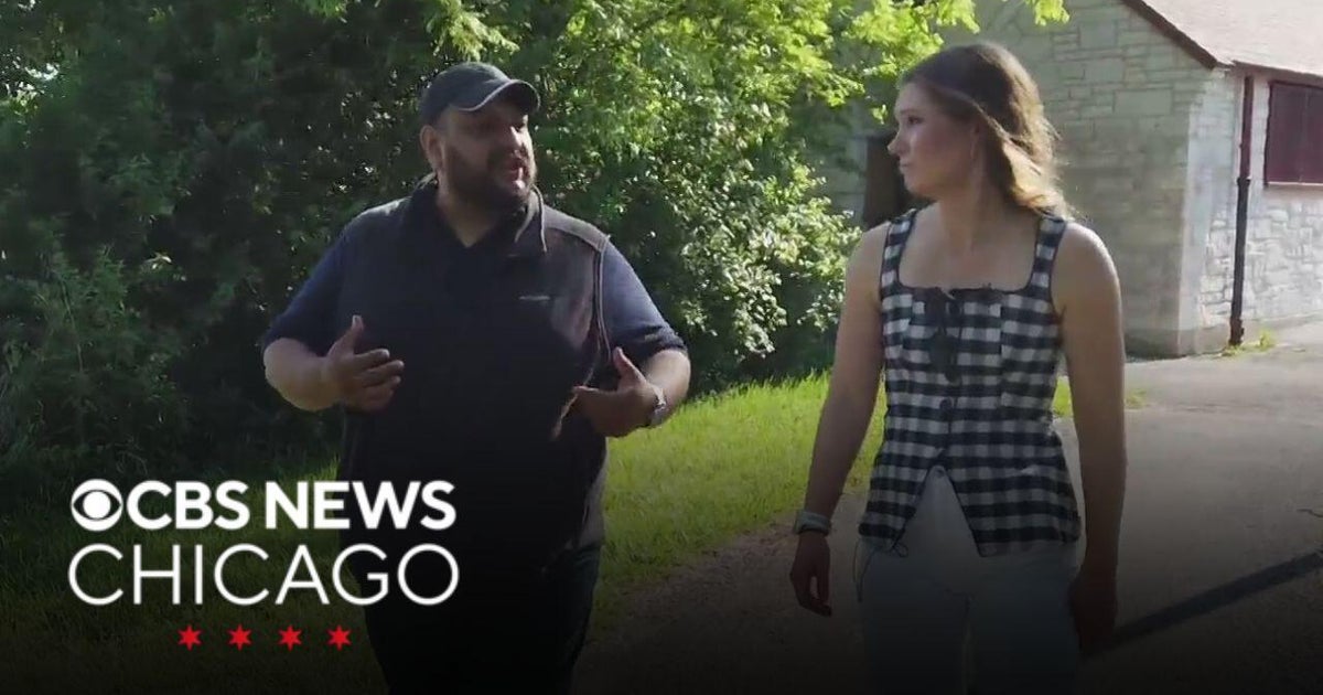 Bystander helps save woman found overdosed in Marquette Park - CBS Chicago