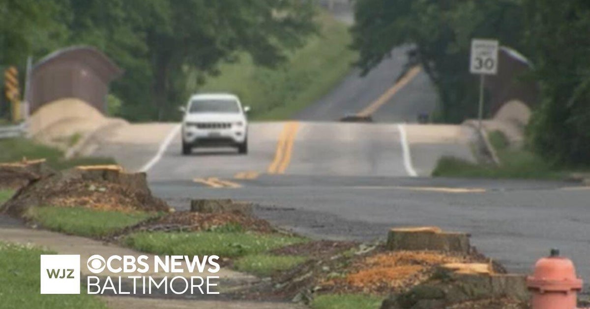 Baltimore County says cherry trees were removed to be ADA compliant ...