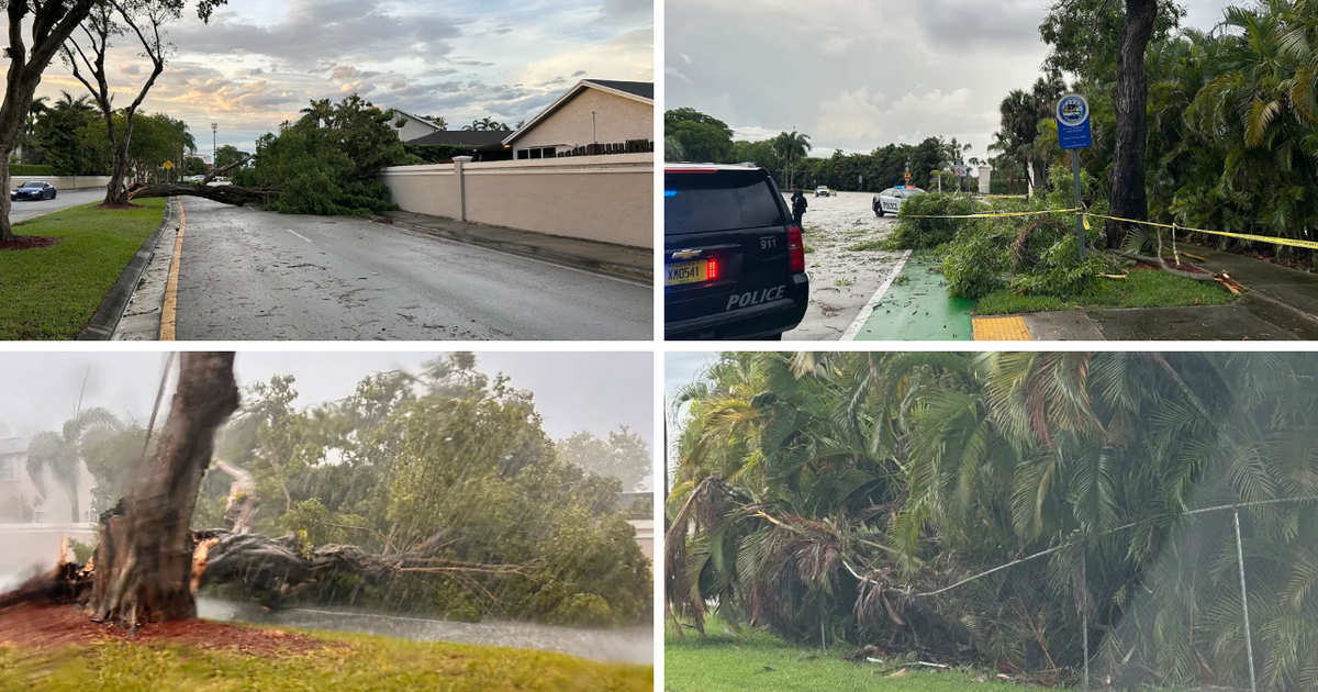 Damage on Miami-Dade roads as a severe thunderstorm moved through South ...