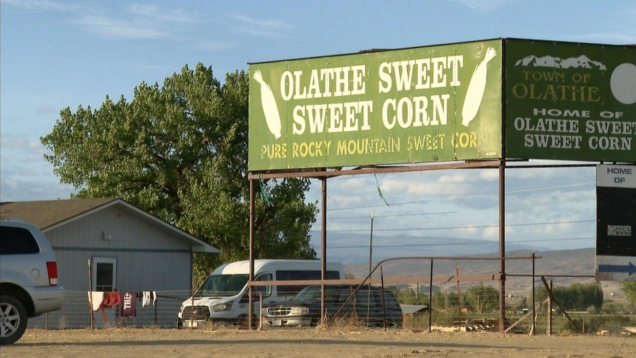 Farming in Colorado's vast Uncompahgre Valley