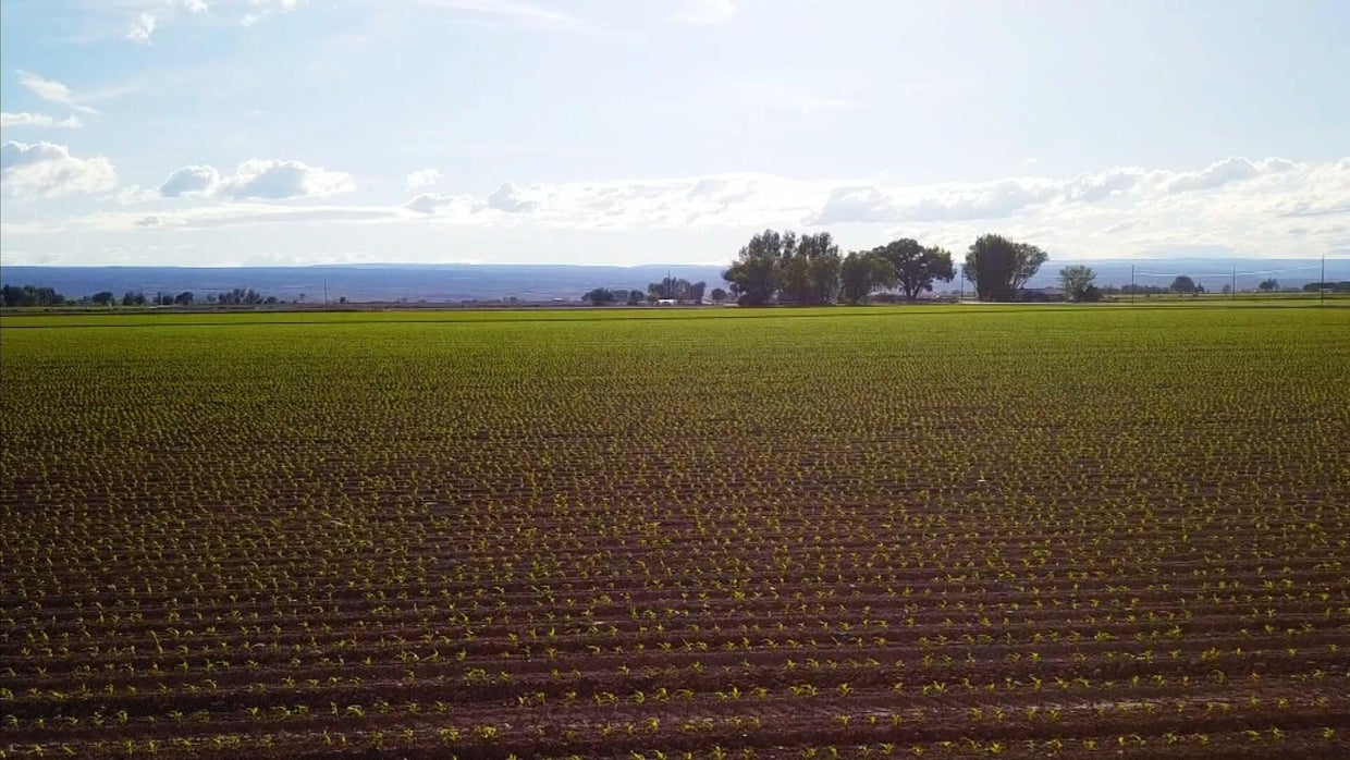 Farming in Colorado's vast Uncompahgre Valley