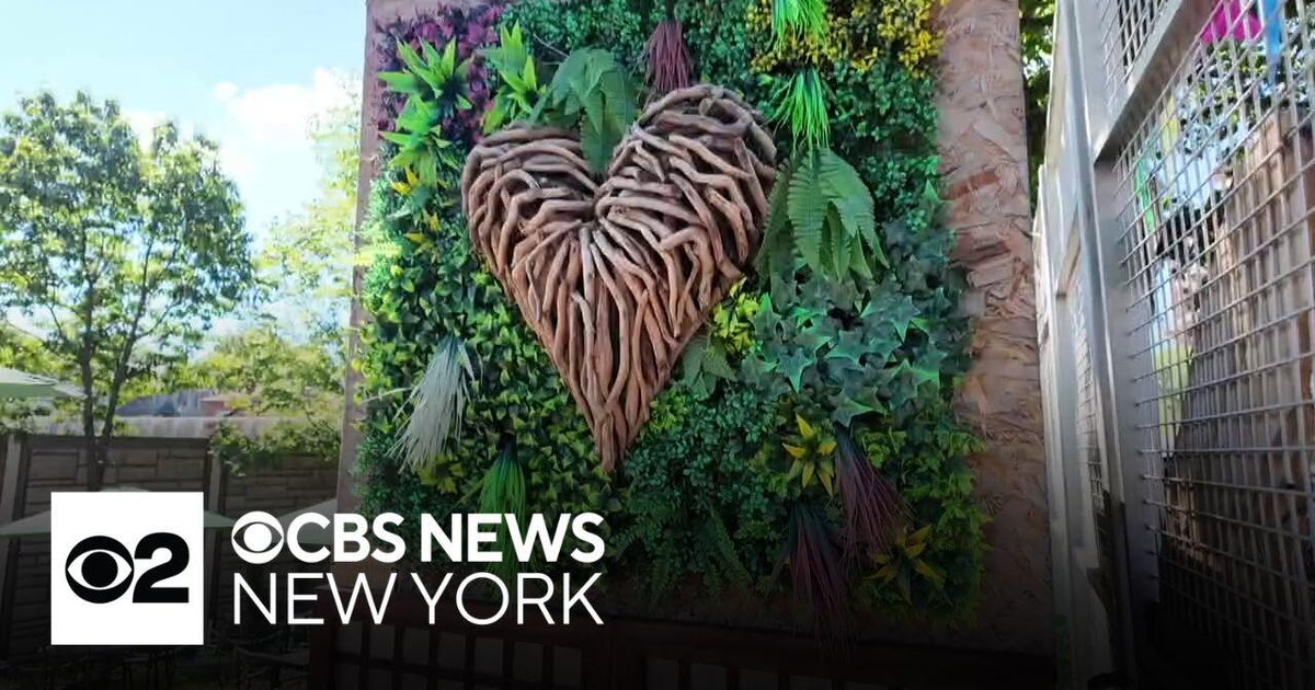 Vacant, trash-strewn lot in Queens transformed into a vibrant park ...