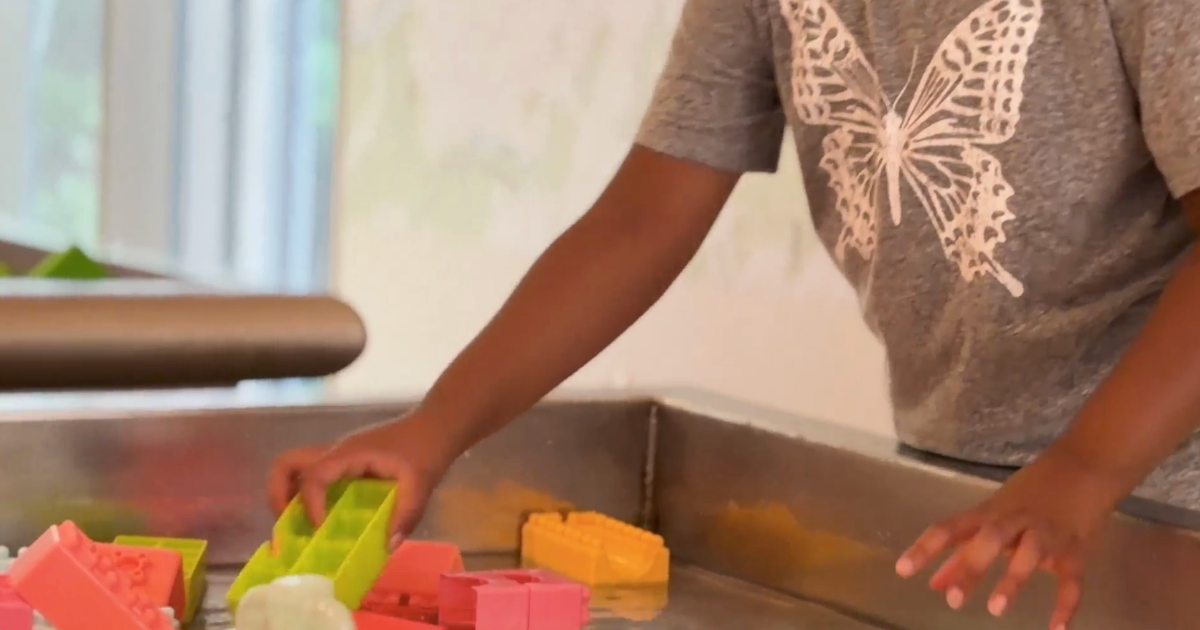 Inside Gwinnett's new sensory treehouse designed for children with ...