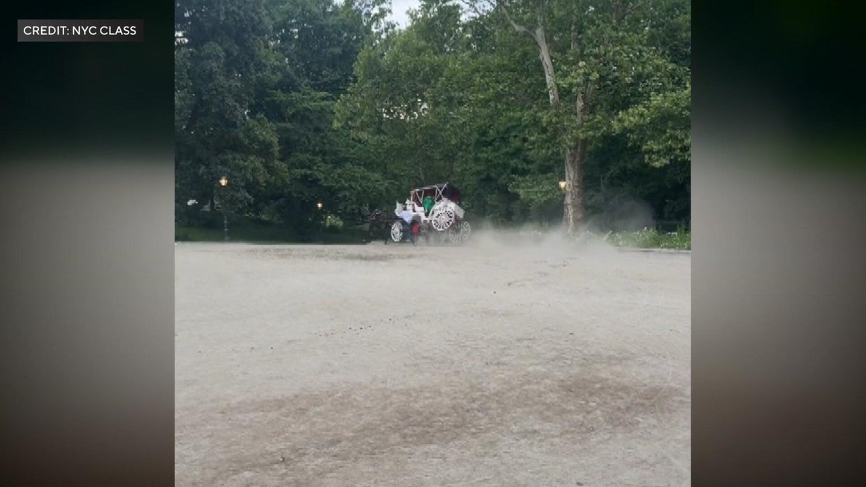 NYC Council will consider horse carriage ban after tourist's death in ...